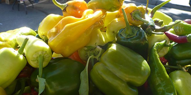Pick a Pepper at your Farmers Market this month - Martinez Tribune
