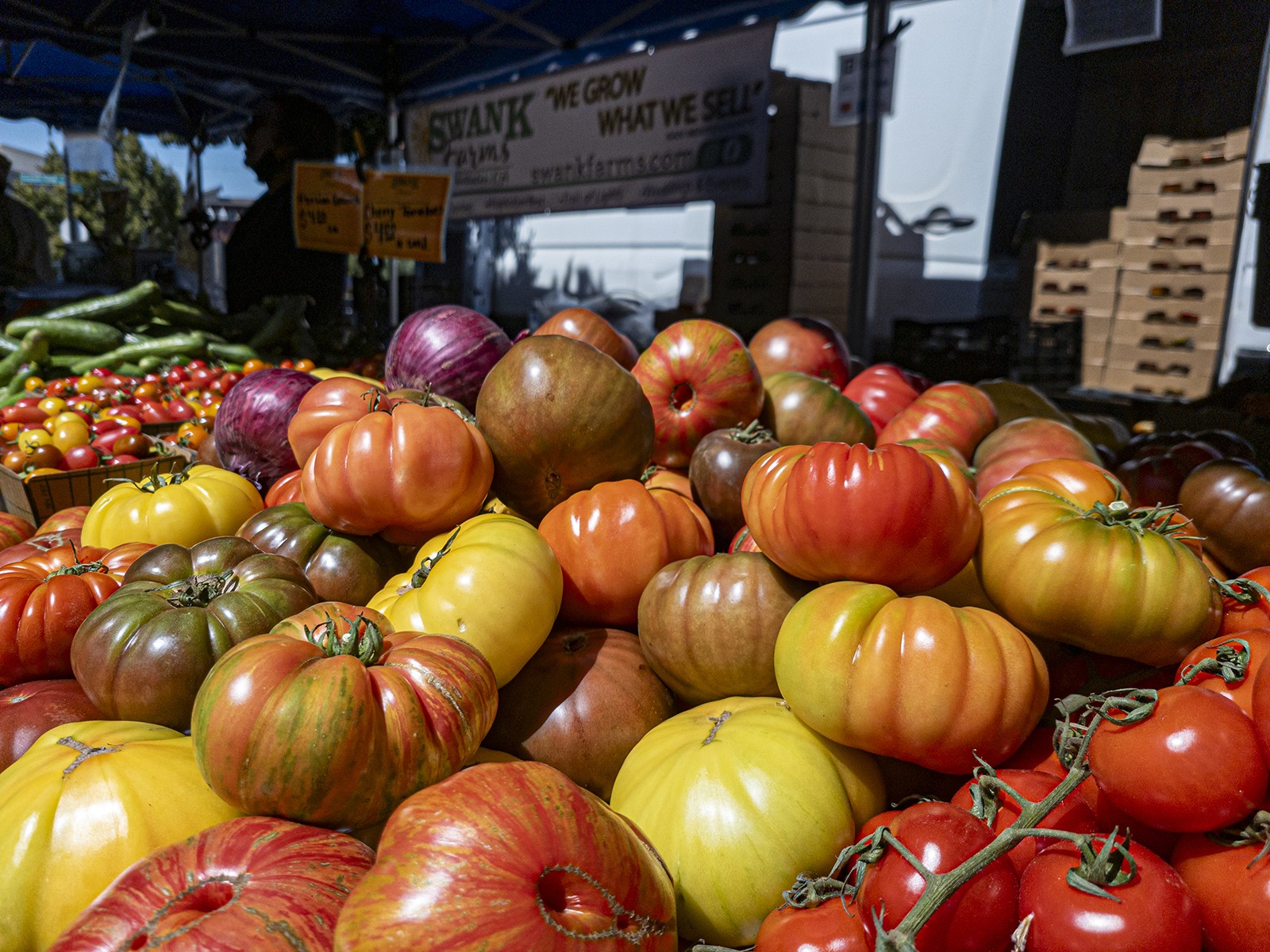 Summertime Heirloom tomatoes arriving as scheduled - Martinez Tribune